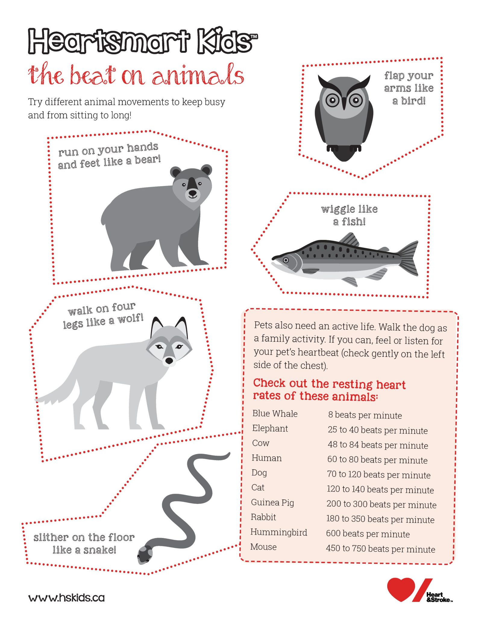 The Beat on Animals - HeartSmart Kids™