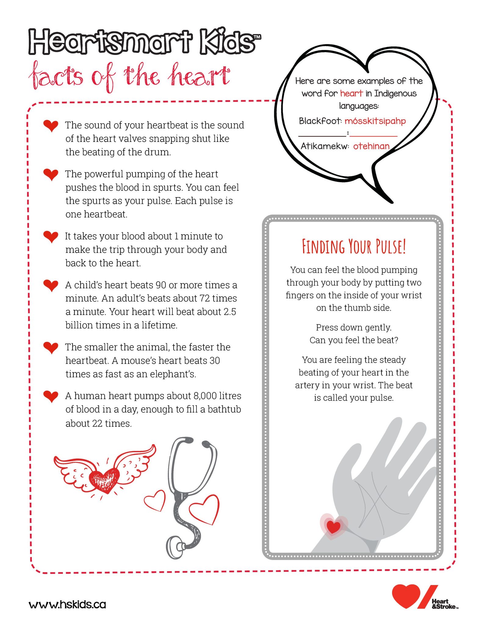 Facts of the Heart - HeartSmart Kids™
