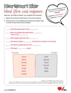Blood Flow and Sequence - HeartSmart Kids™
