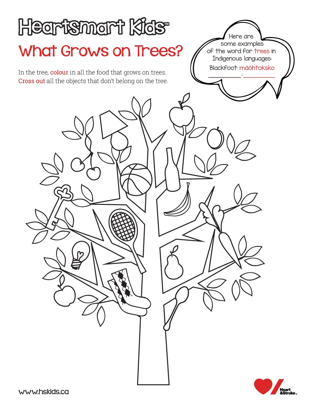 What Grows on Trees? - HeartSmart Kids™